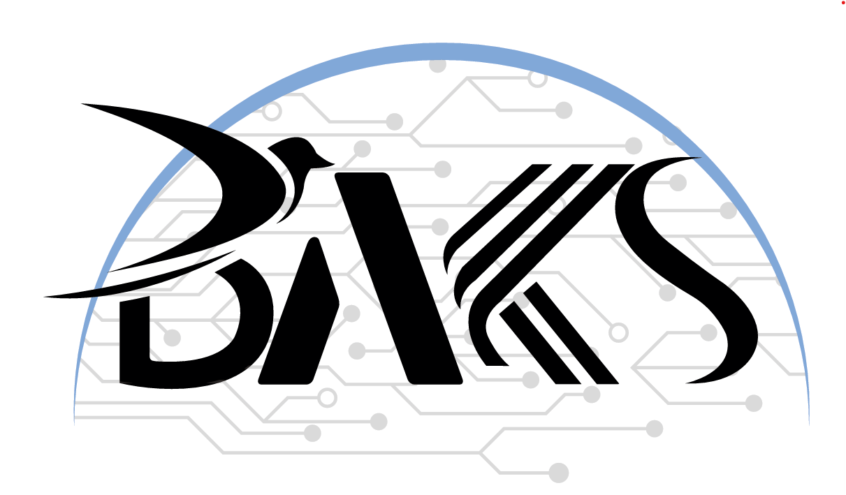BAKS - Global Managed Service Provider | IT & Network Solutions